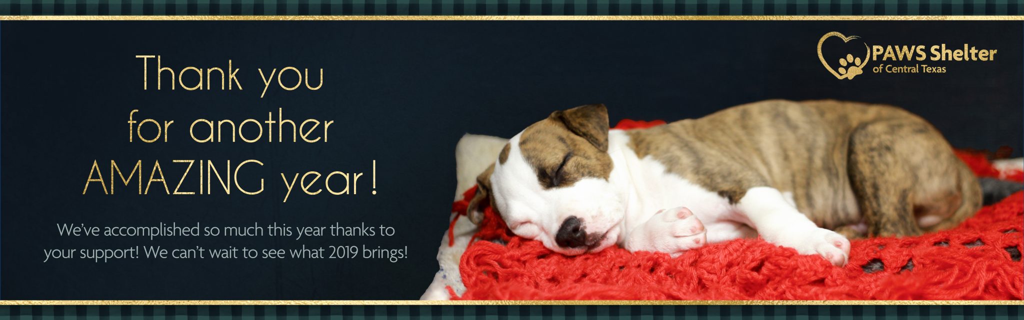 PAWS Shelter of Central Texas