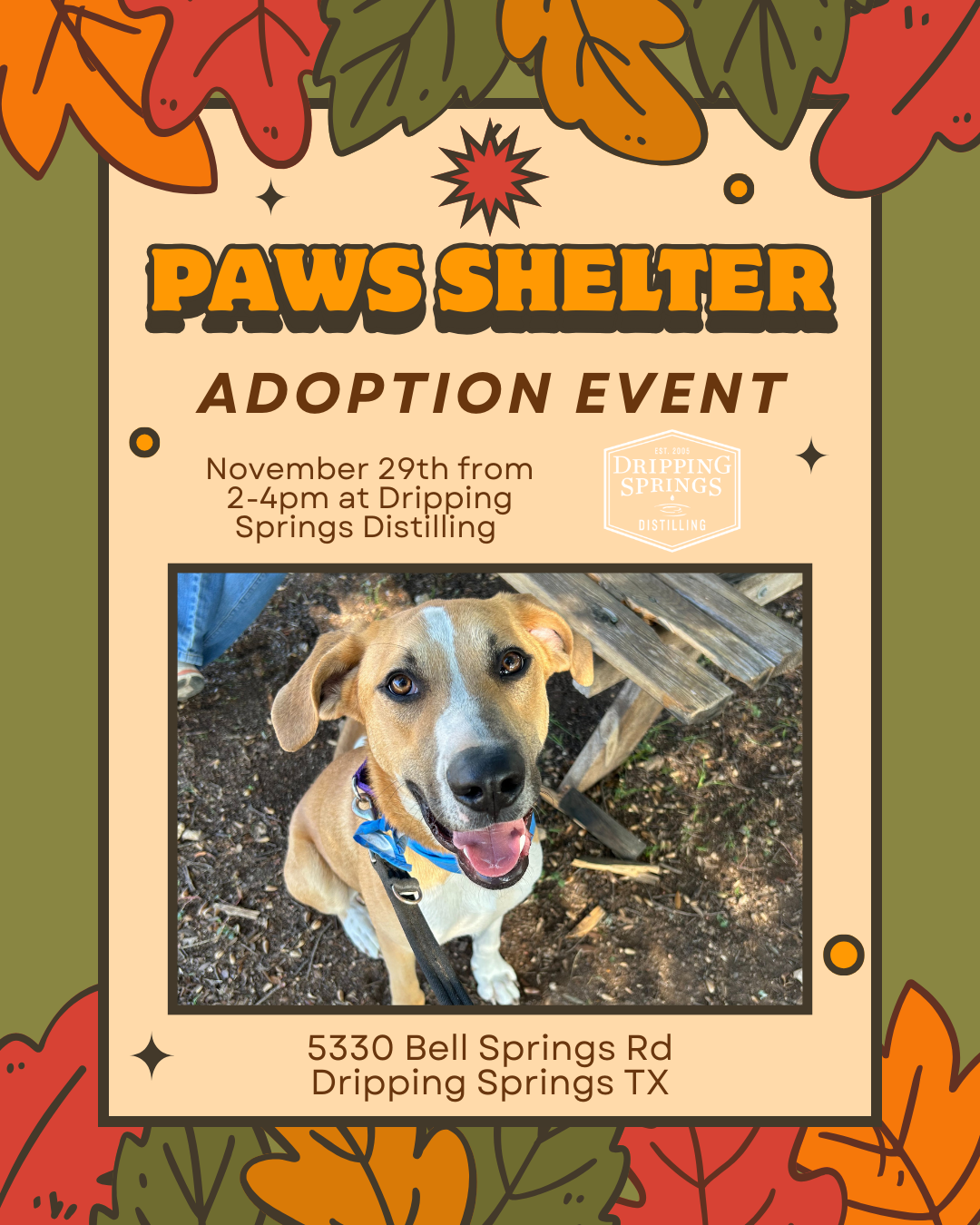 DS Vodka Event | PAWS Shelter of Central Texas